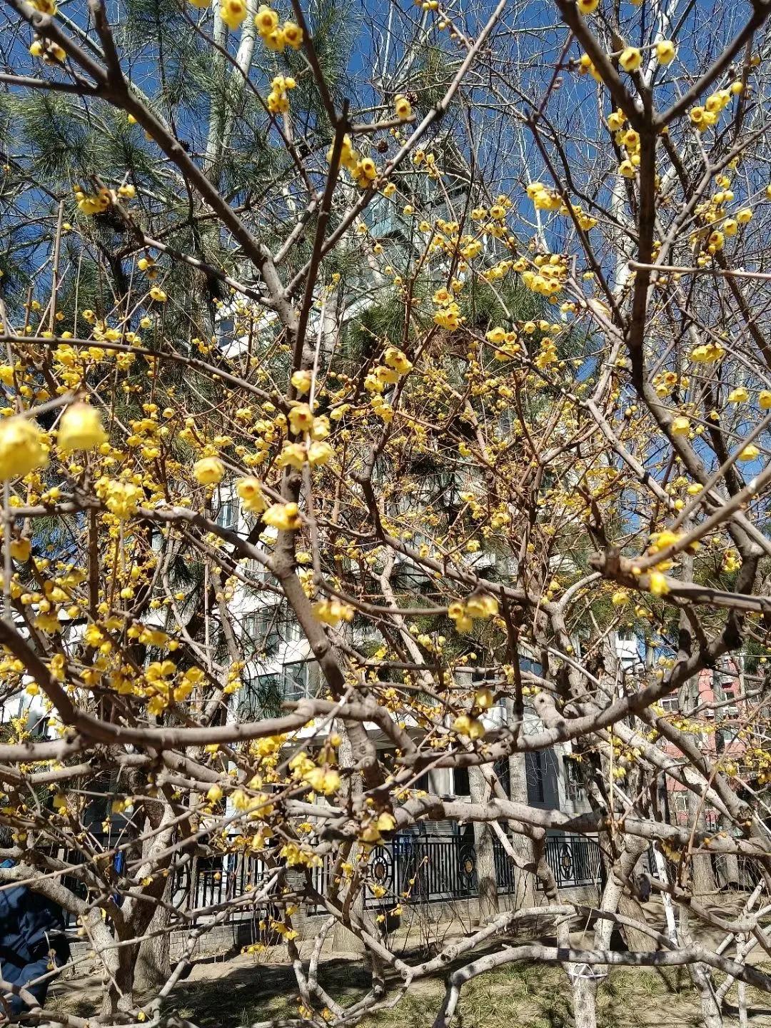 The female star with the most poetic name, who lives up to her name, is ...