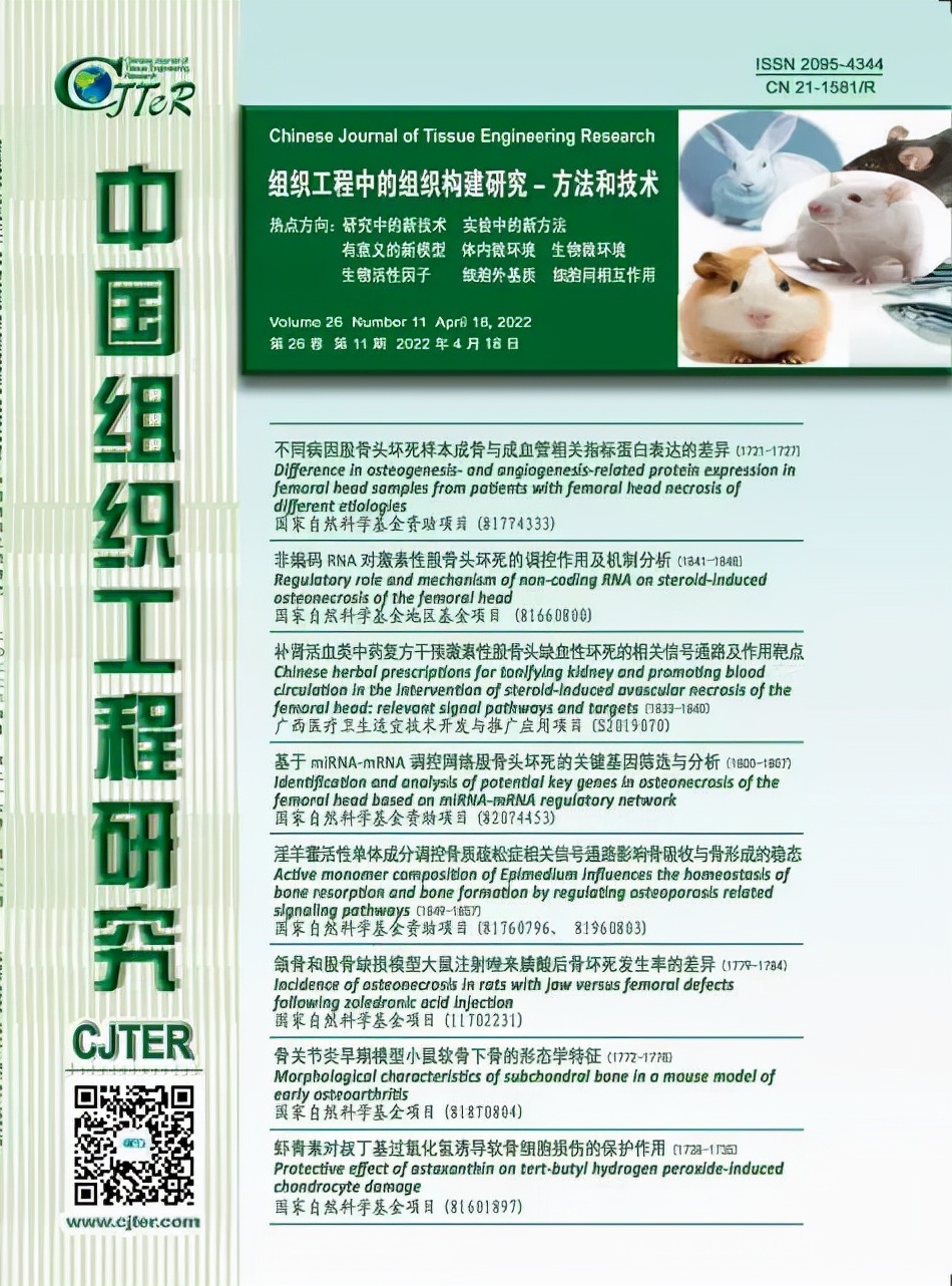The latest publication of "China Tissue Engineering Research": a ...