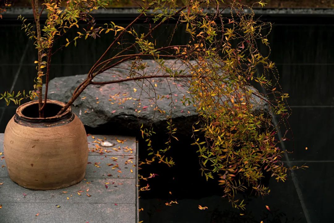 "New work" Song Dynasty aesthetics, why is it so advanced? - iNEWS