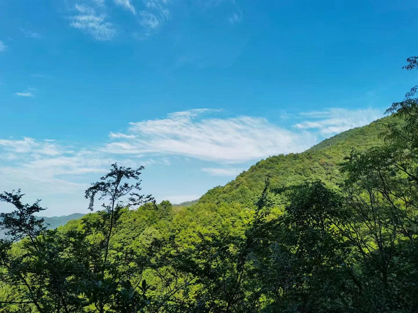 A poem makes the country sit firmly, a poem turns the world around, and two poems describe the ...