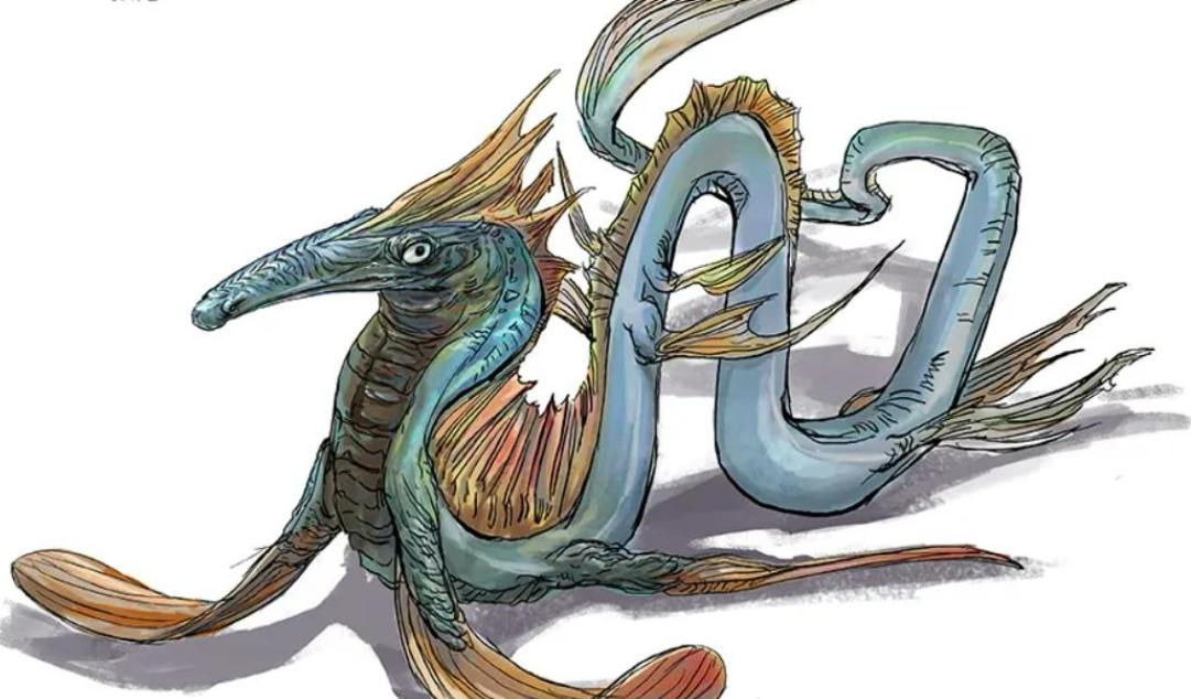 The truth about the transformation of the snake into a dragon is so ...