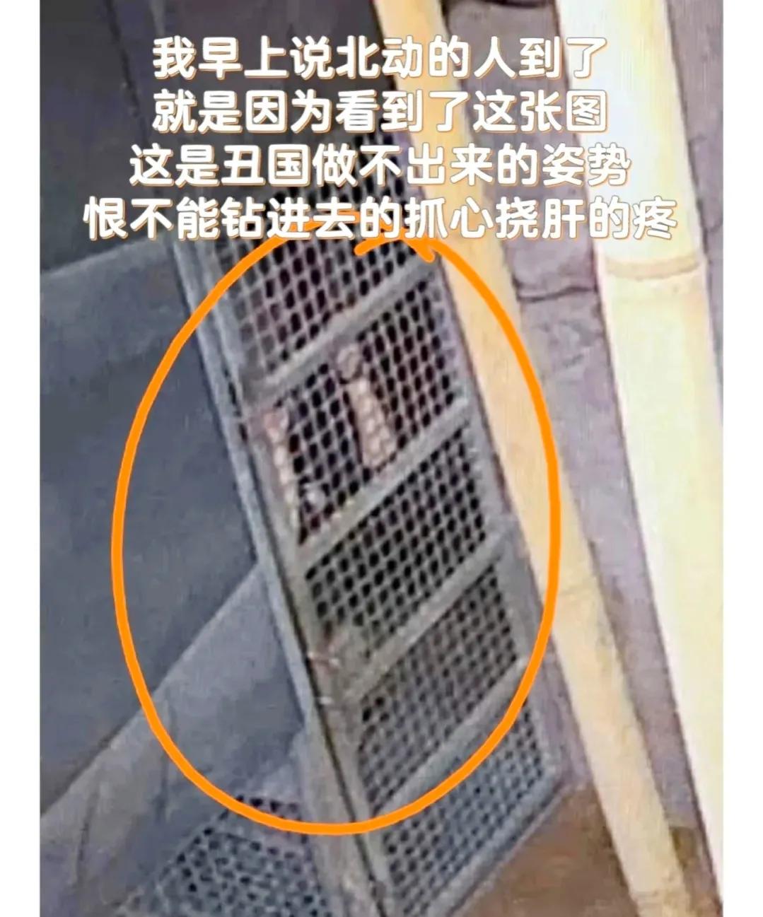 Experts who went to the United States emphasized that it was only ...