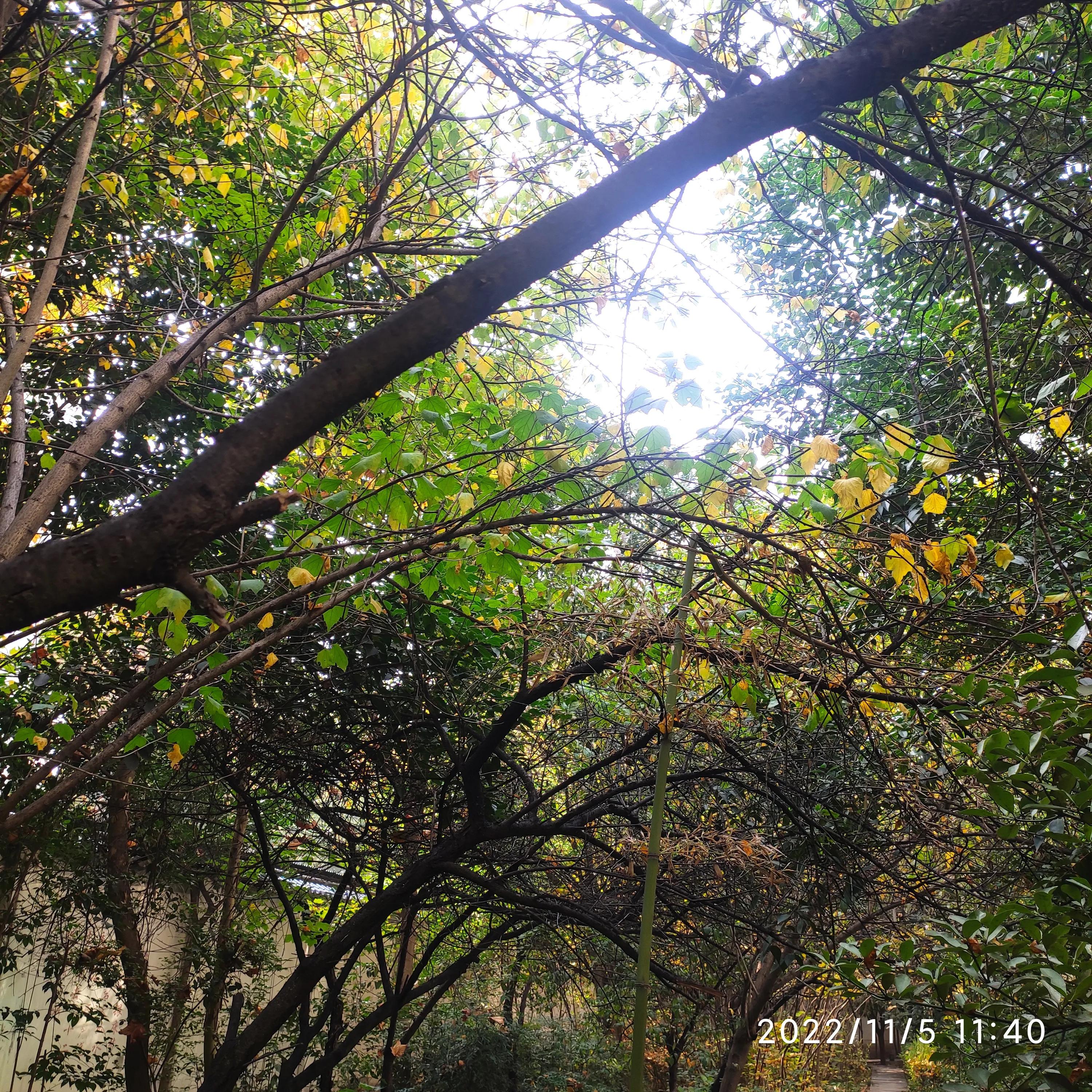 The Garden of Five Laws of Autumn - iNEWS