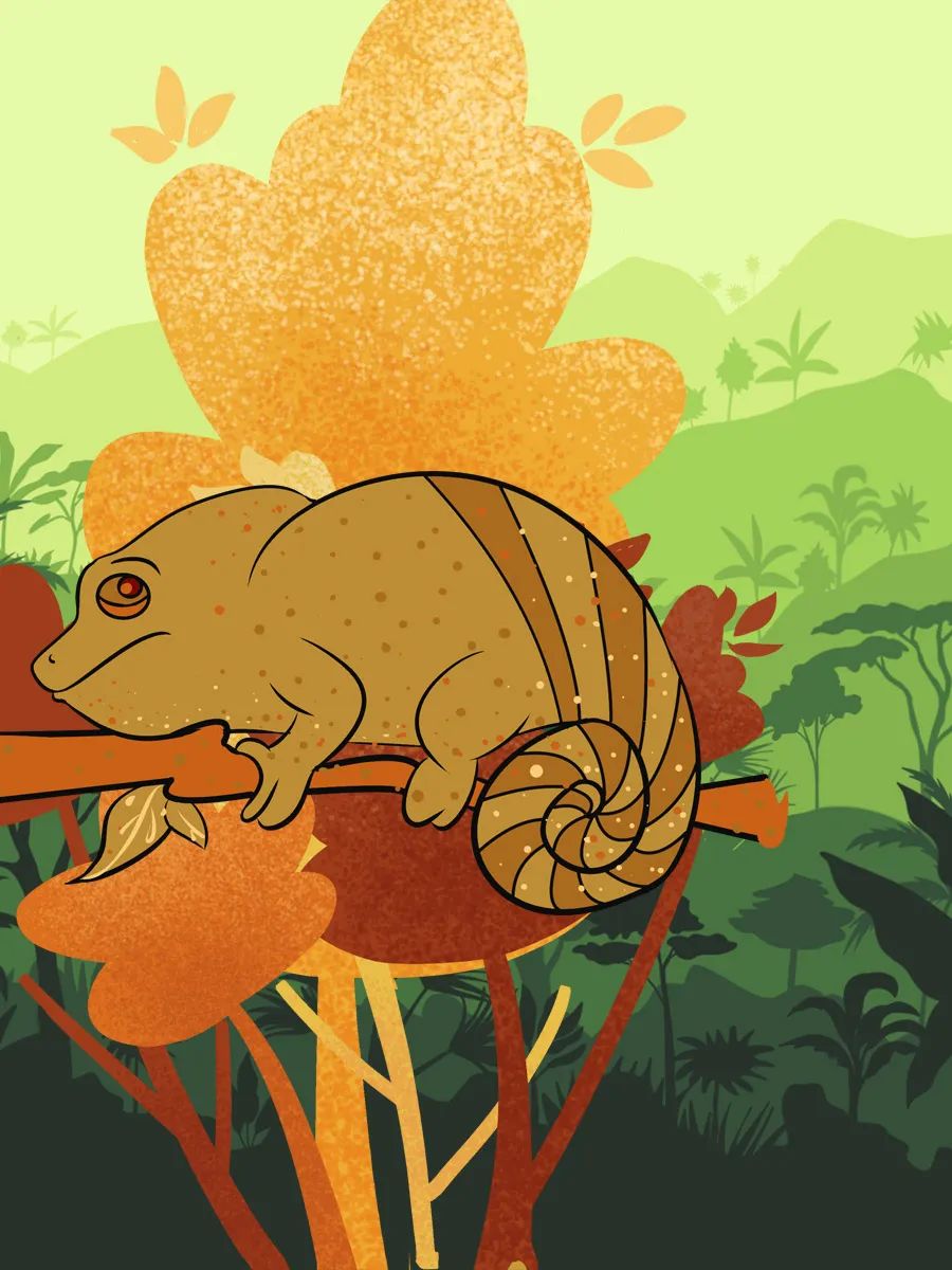 Why do chameleons change color? - iNEWS