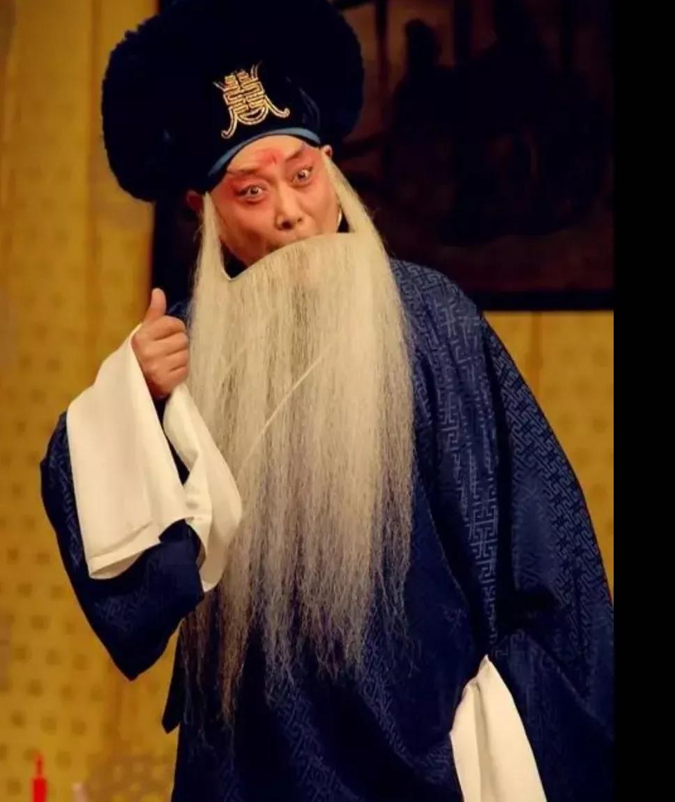 Lao Shen's Opera: Talking About Zhang Xuejin, Li Chongshan, Sun Yue ...