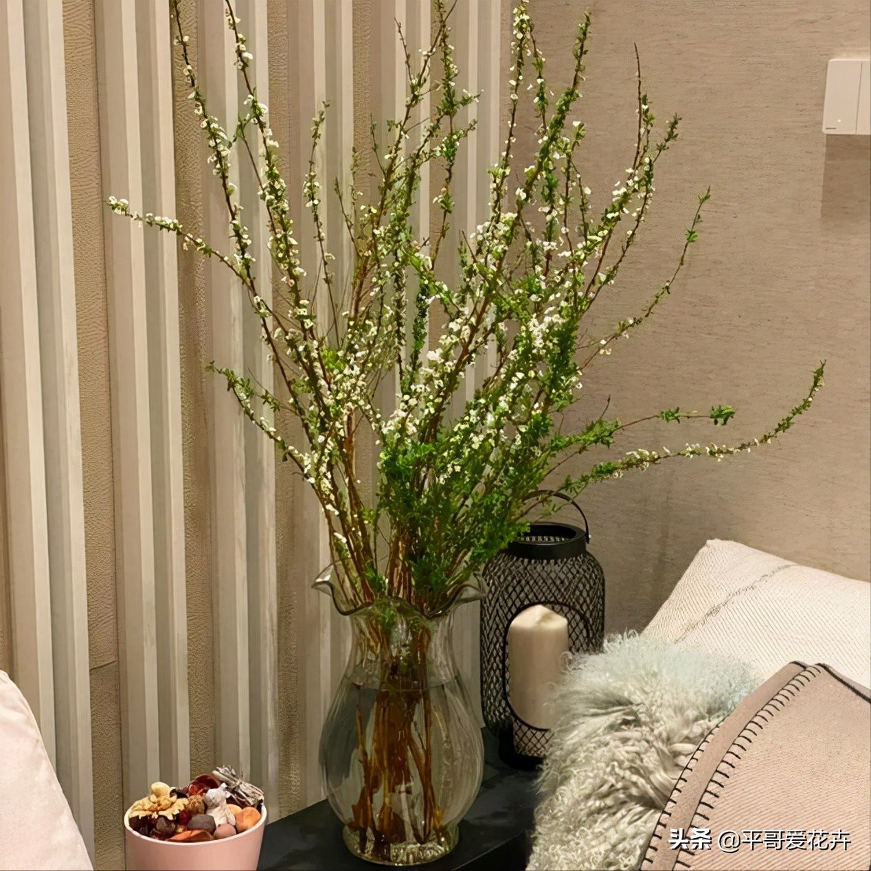 After Laba Festival, buy 2 kinds of "dried flowers" at home, you can ...