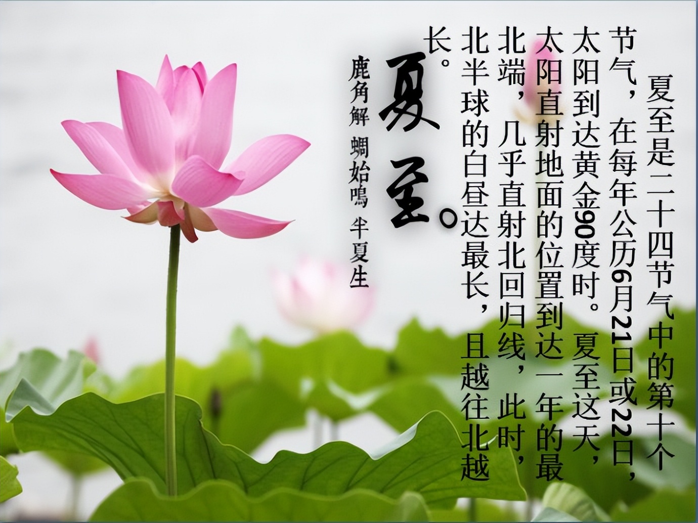 The summer solstice is the first established solar term, do you know ...