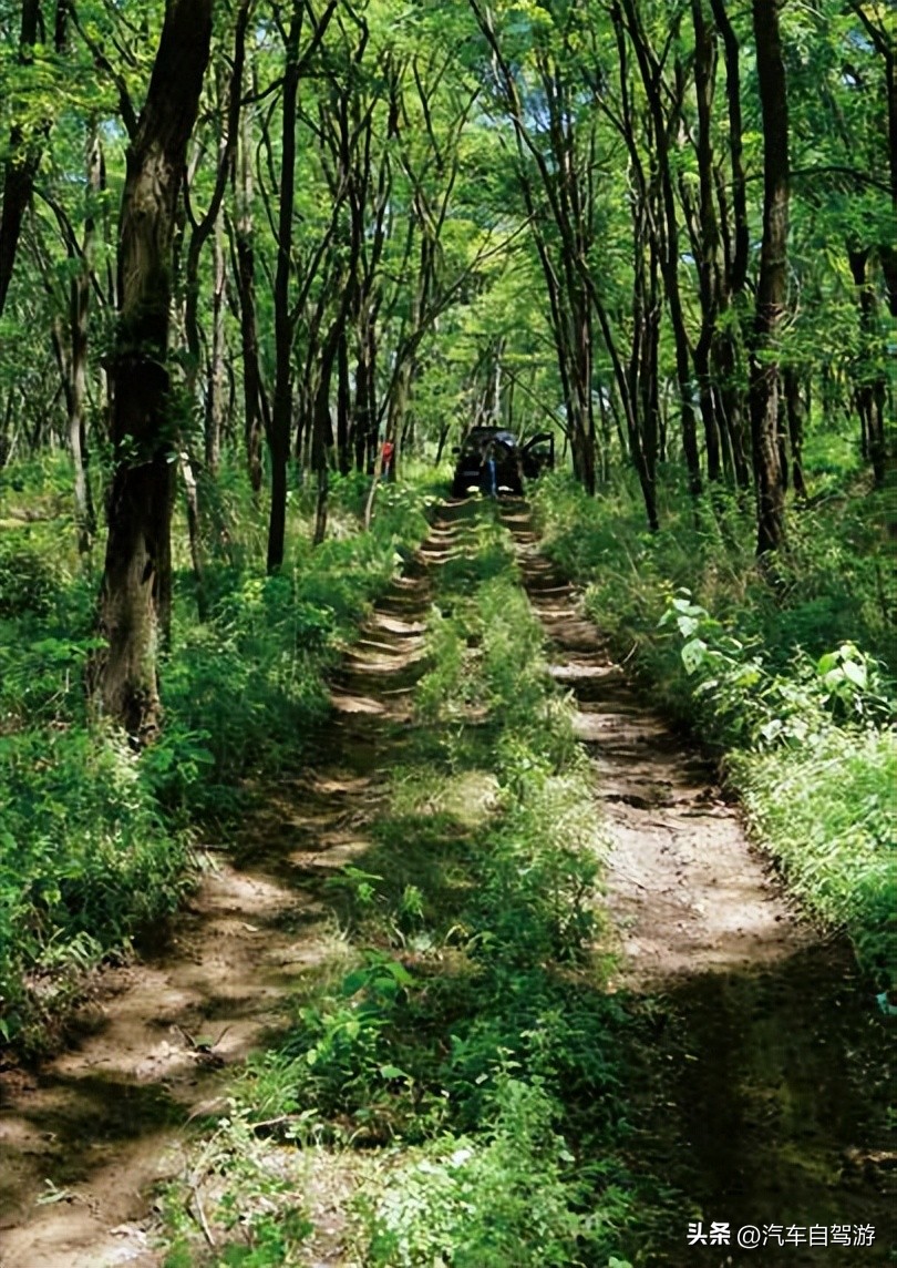 Pass through the Huai Forest in Weibei, Shaanxi, and enter the Jinghe ...
