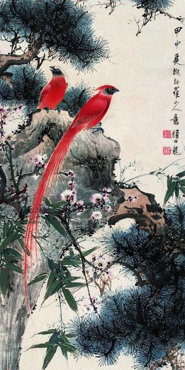 Netizens photographed the "Fairy in the Forest" Shoudai Bird, with its ...