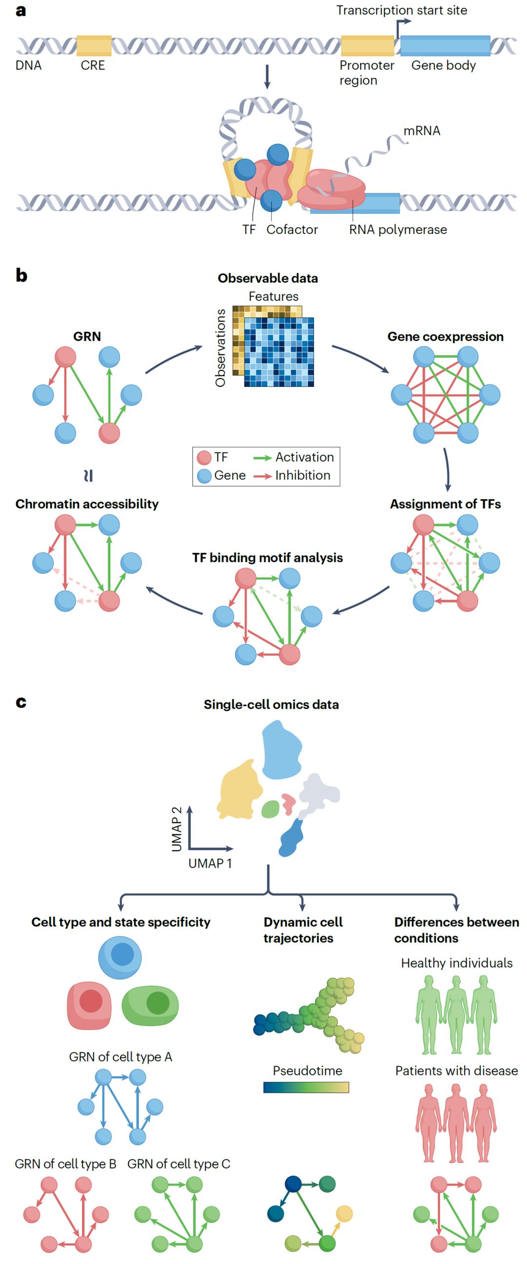 Nature Reviews Genetics - iNEWS