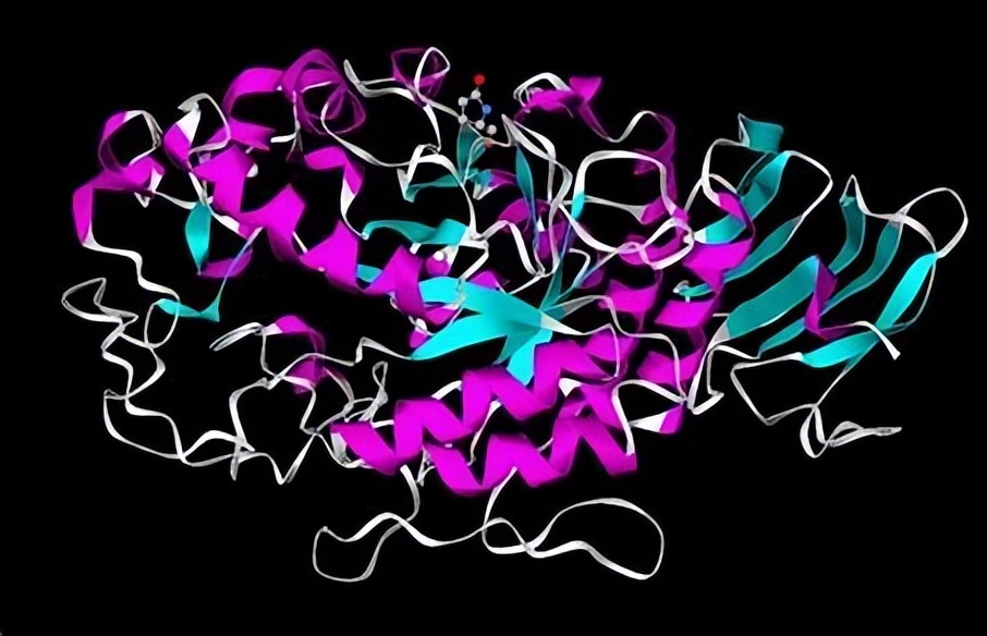 The code of immortality has already been written in our genes? - iMedia