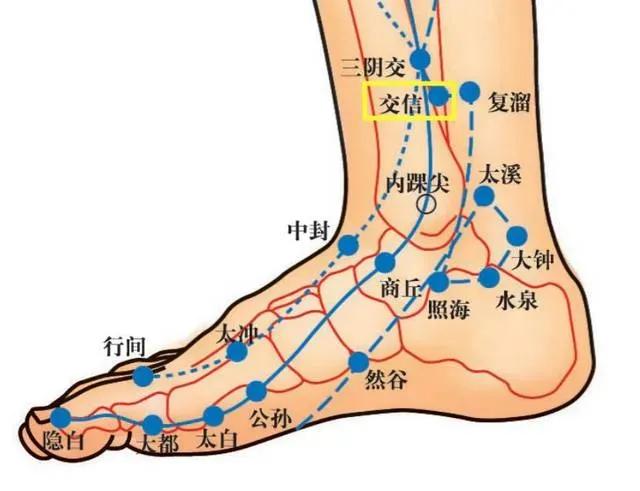 The magical Jiaoxin point, the acupuncture point that communicates and ...