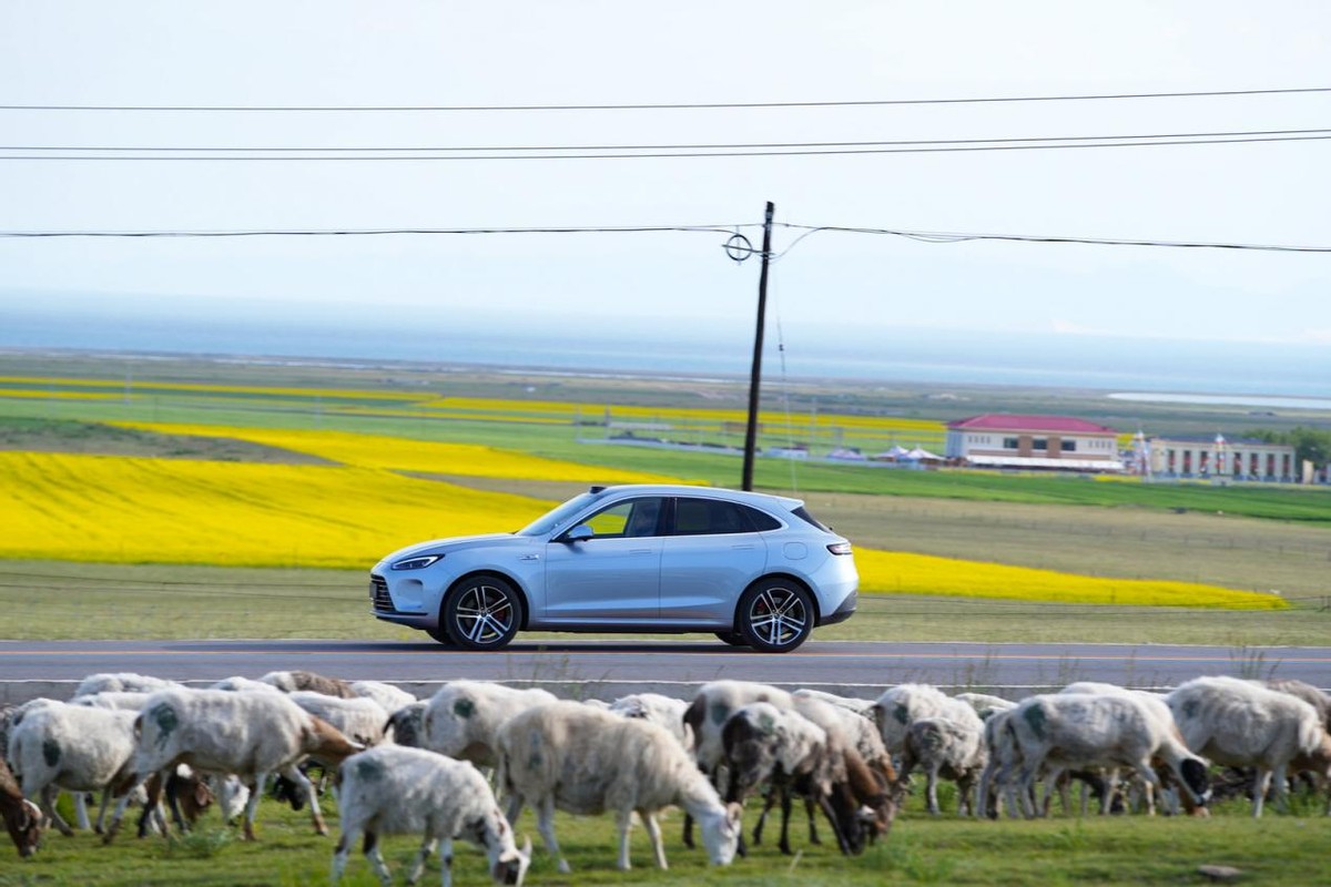 AITO M5 smart driving version shines in CEVR, stands out and wins 11 ...