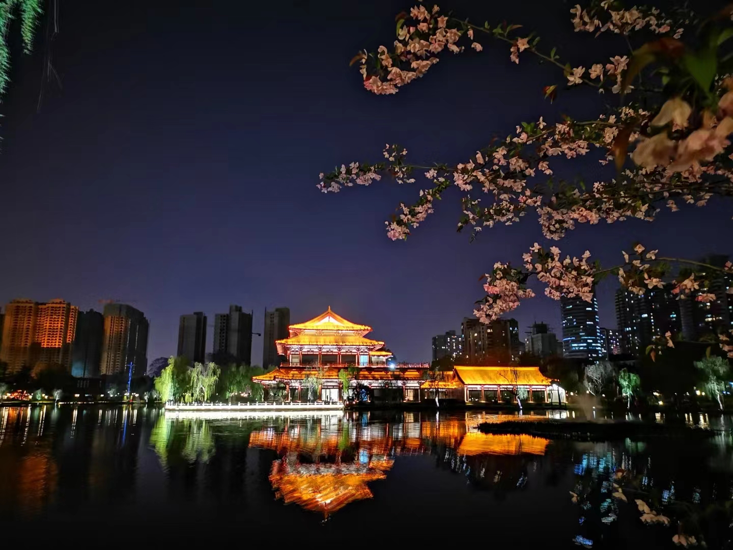 Qujiang Xingqing Branch: Clouds want clothes and flowers, Xingqing ...