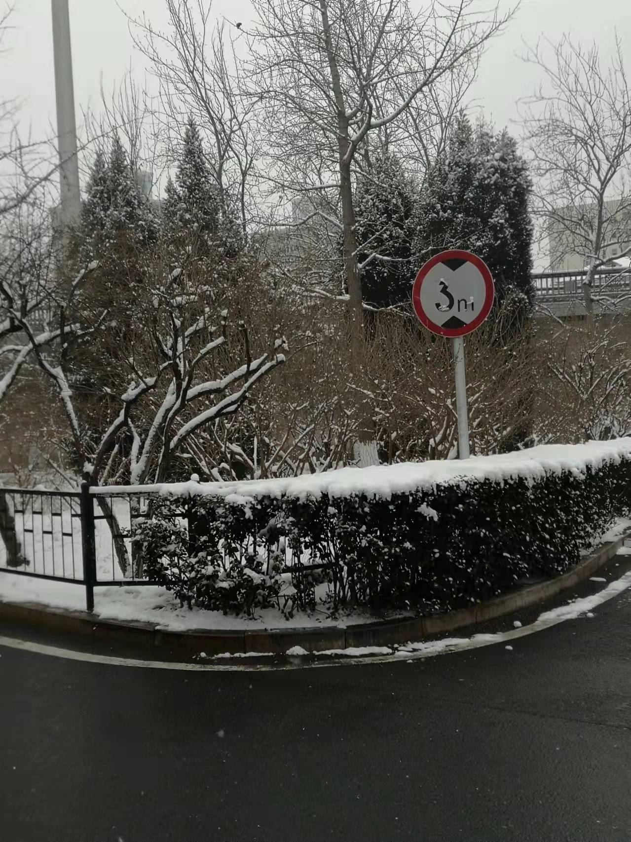 It's still good to read (group poems) Beijing Zhang Xingui - iNEWS