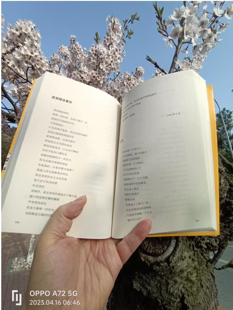 Gu Cheng: Flowers bloom like fire, but also like loneliness - iNEWS