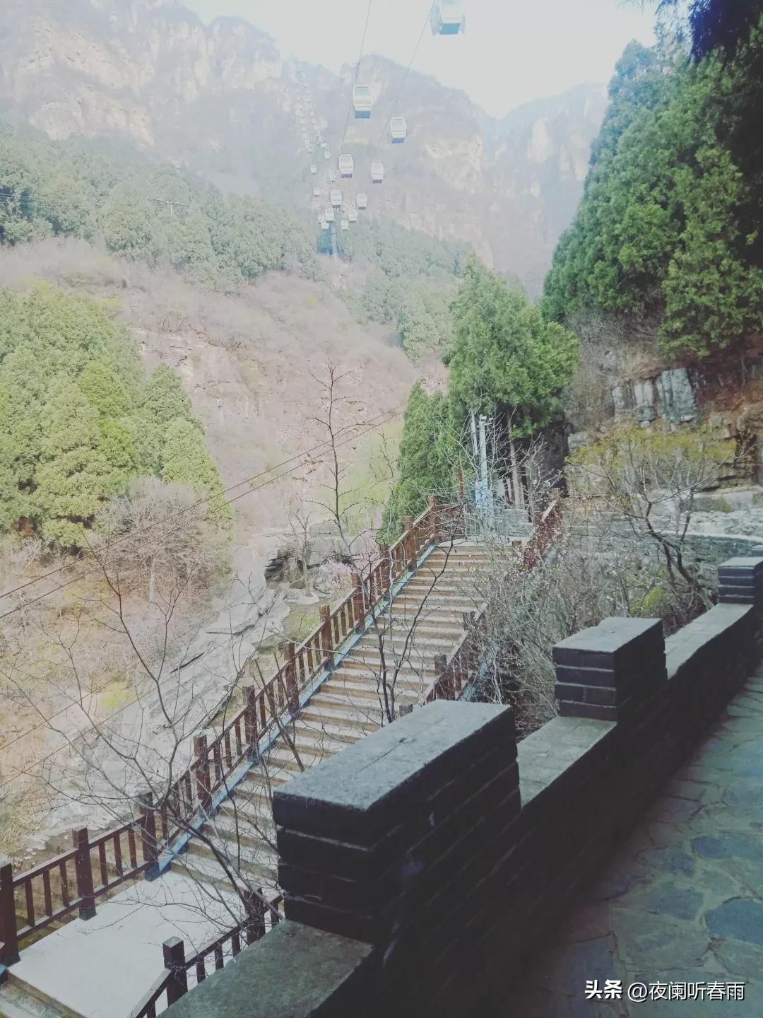 I have a severe fear of heights, but bravely took the cable car back to ...