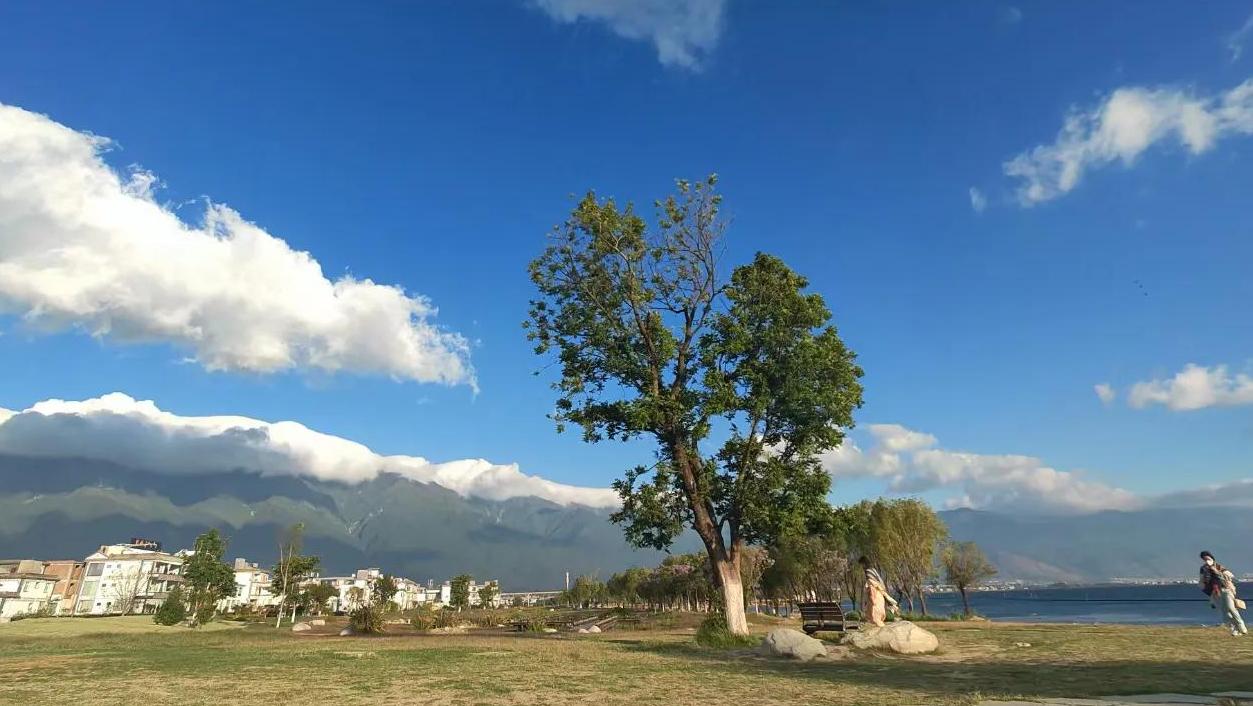 Retirement life of a 53-year-old aunt: a month's change after returning ...