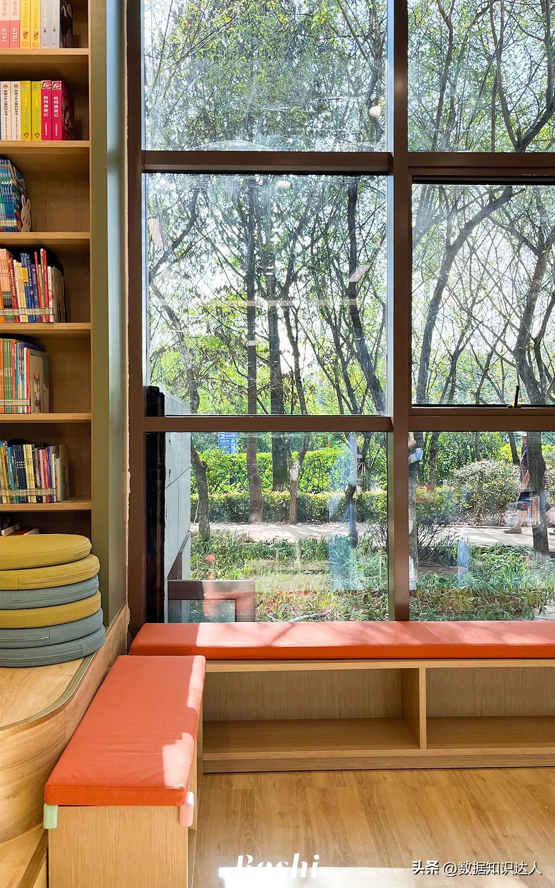 Chongqing's first "Forest Library", beautifully turned - iNEWS