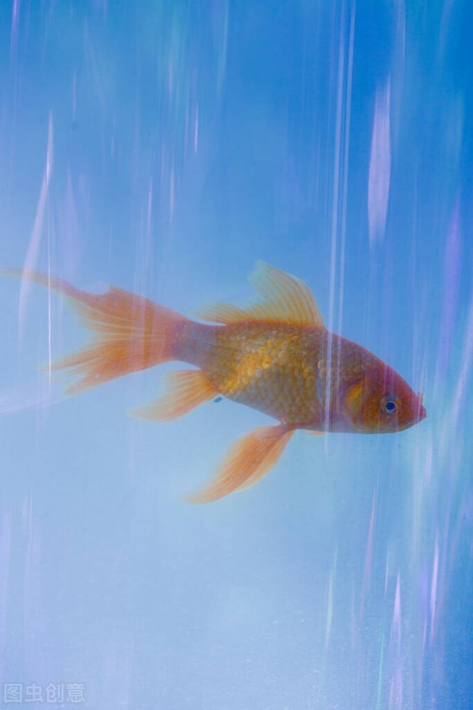 Coup for solving biological white turbidity - iNEWS