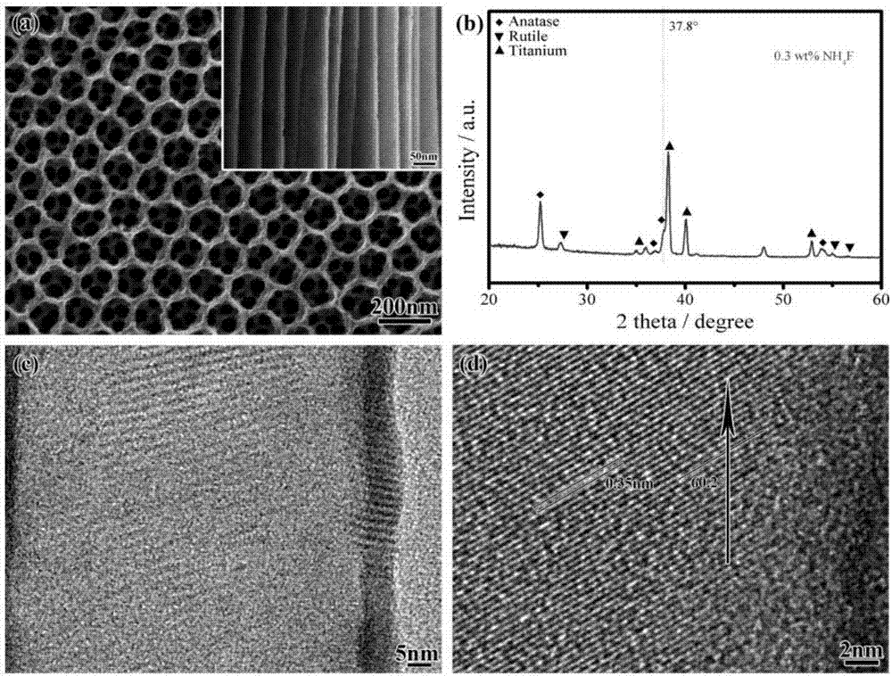 Preparation and characterization of TiO2 nanotubes and their ...