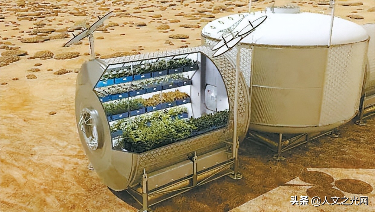 Which plants "go to the sky" on a spaceship - iNEWS