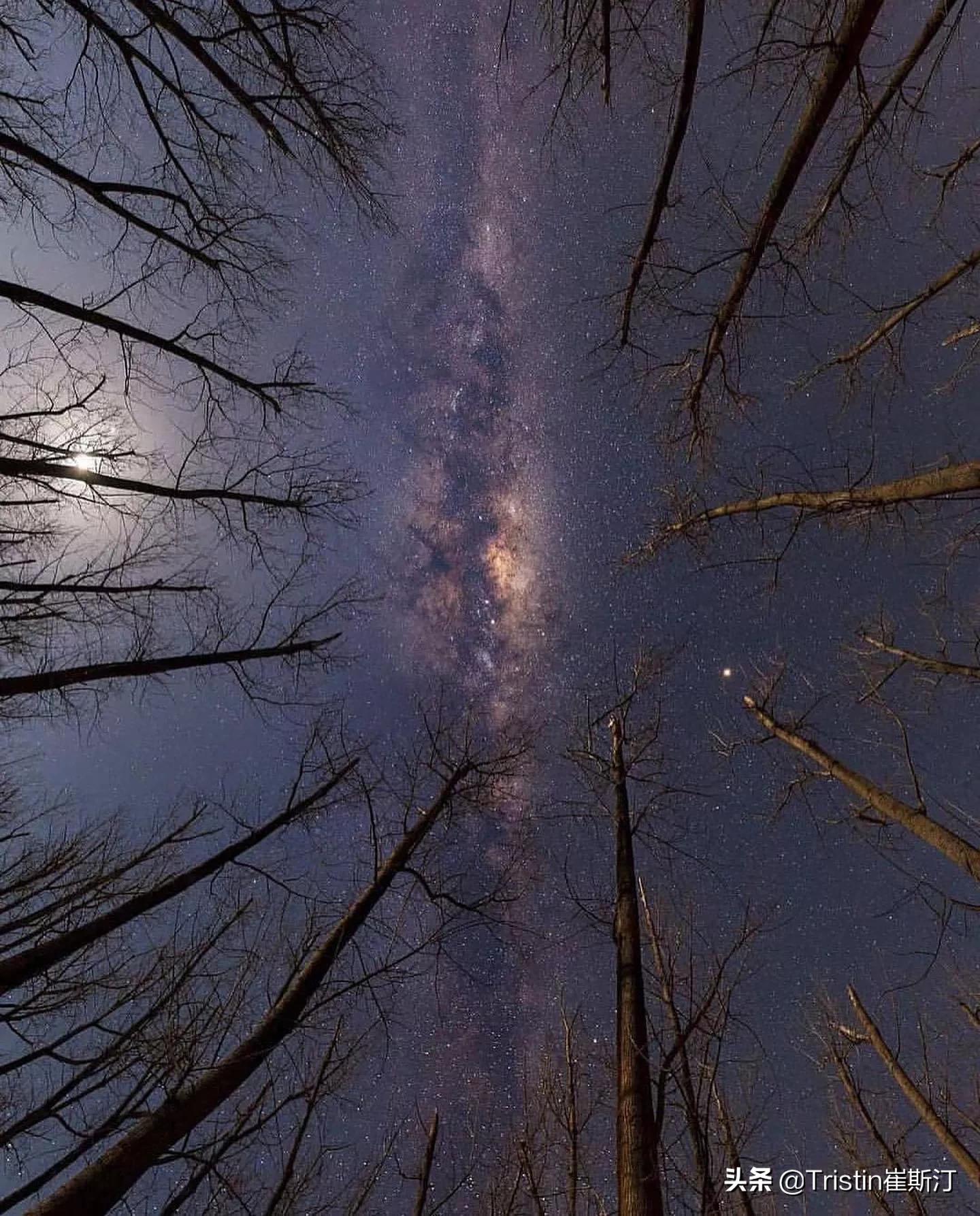 Why do some people regard long-termism as a belief - iNEWS