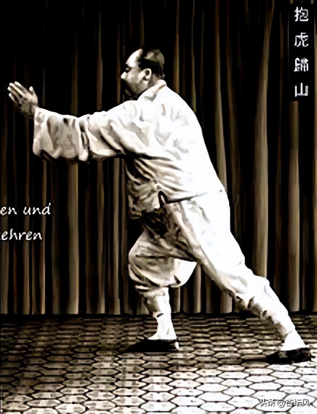 "The Complete Book of Taijiquan Bodywork"--edited by Yang Chengfu ...