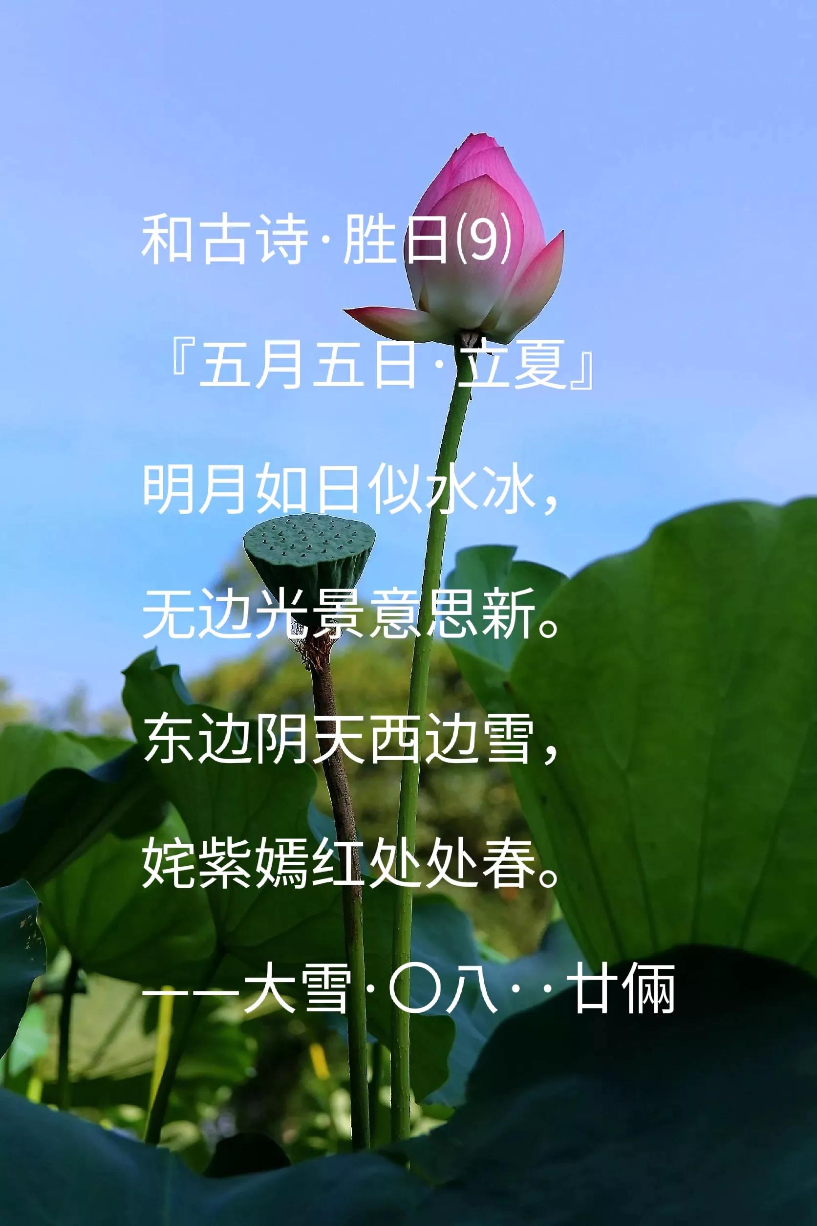 Su Qin flashes Buddha's good way - iNEWS