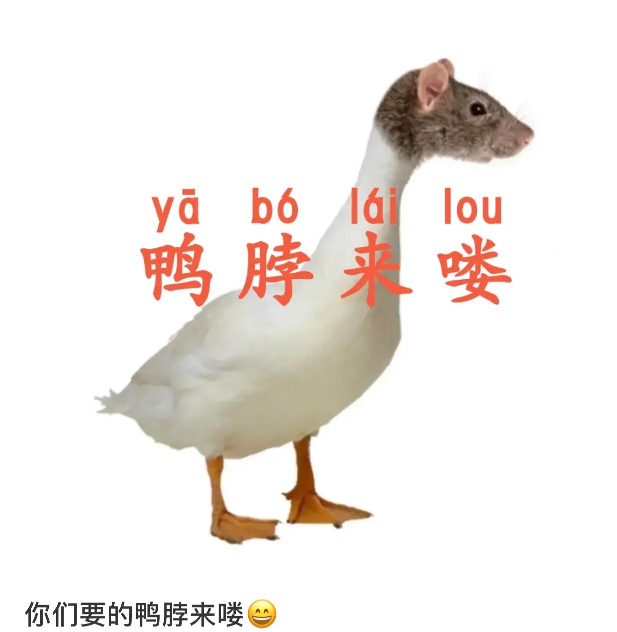 A duck with teeth is a mouse without teeth. After repeatedly confirming ...