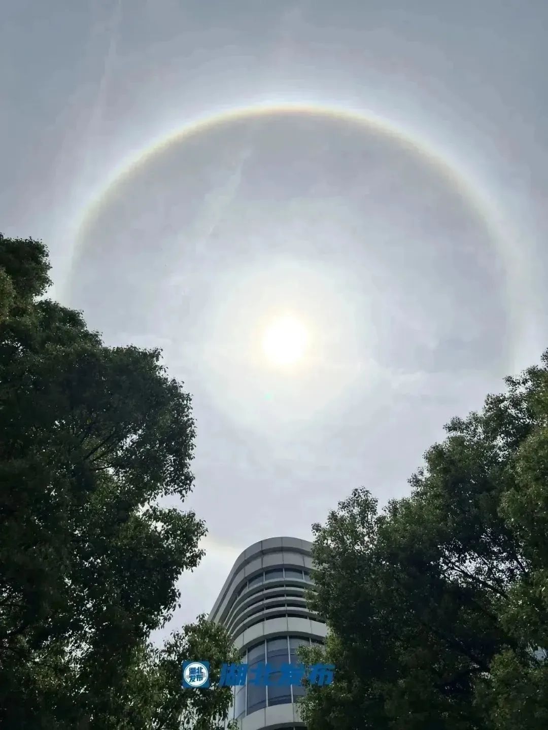 so gorgeous! Astronomical spectacle solar halo appeared in Wuhan - iMedia