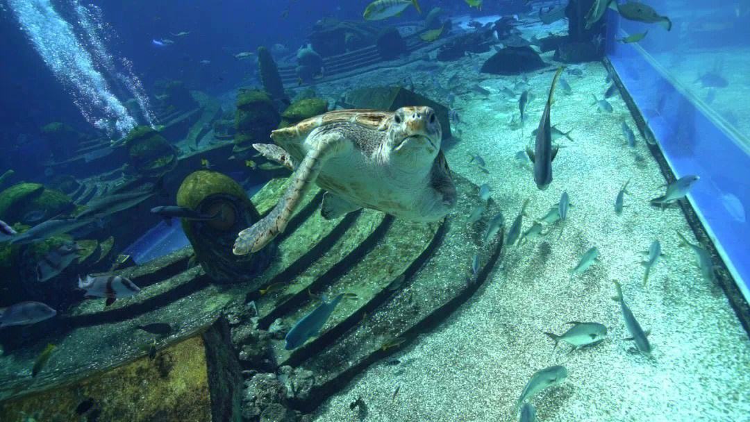 As the environment changes, what changes have taken place in the ...