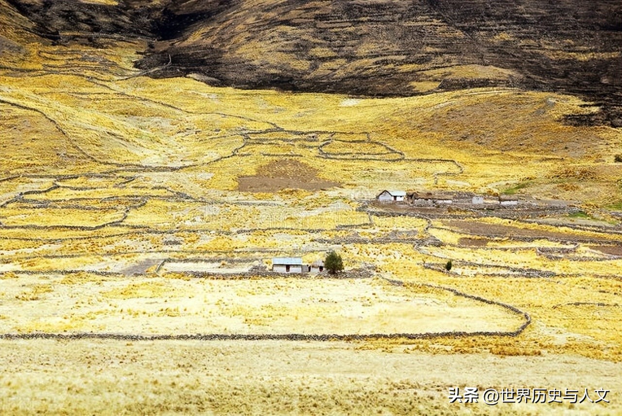 The Birth of Chinese Civilization - The Origins of Agriculture in China ...