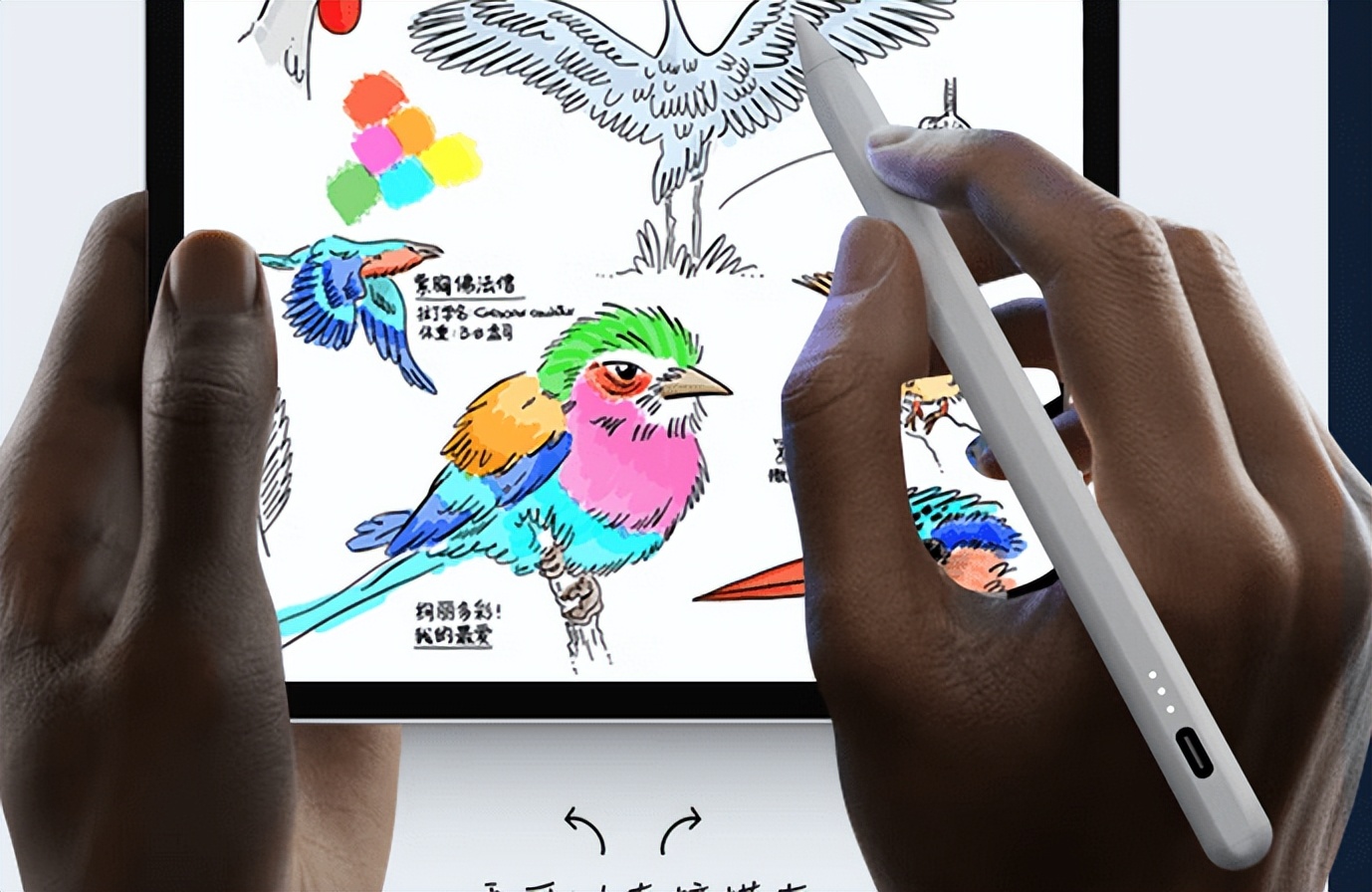 What's the difference between an Apple pencil and a flat pen? Amway pen ...