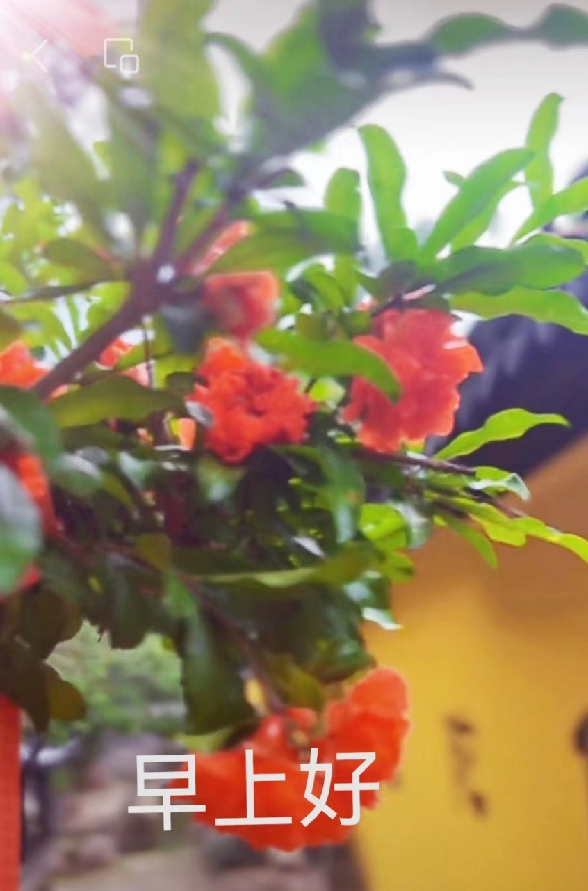 The rain is clear, the willow color is bright, the new Meng Xia is a ...