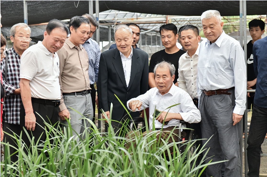 A New Perspective of the Times” Essay: Orchid Fragrance, Luzhou Pan ...