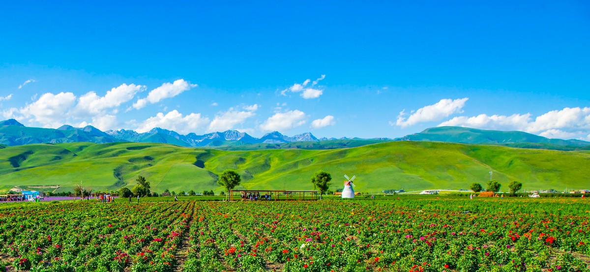 Open for four months every year, how beautiful is the Duku Highway ...
