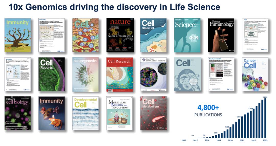 What efforts do domestic single-cell platforms need to make to catch up ...