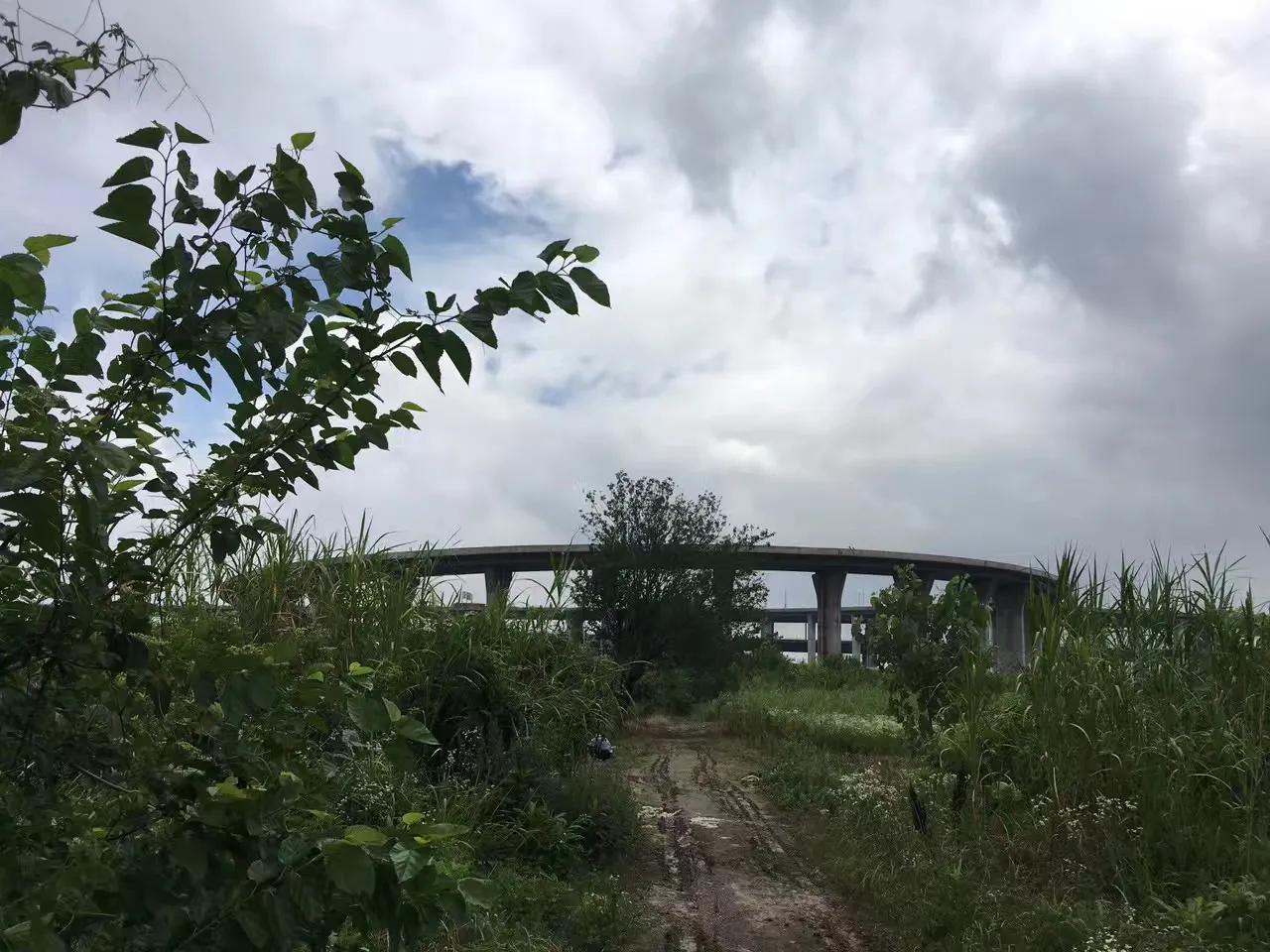 Impressions of Wuhan: Xingzhou in June - iNEWS