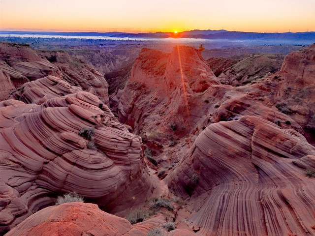 The landform of the wave valley is trampled by aunts, and action is ...