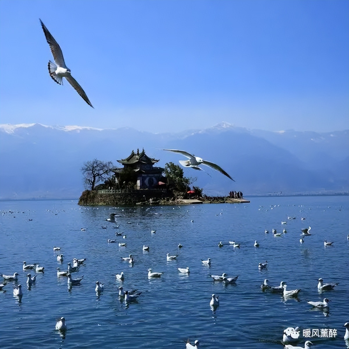 You don't have to go far away, just come to Mengzi to see the sea - iNEWS