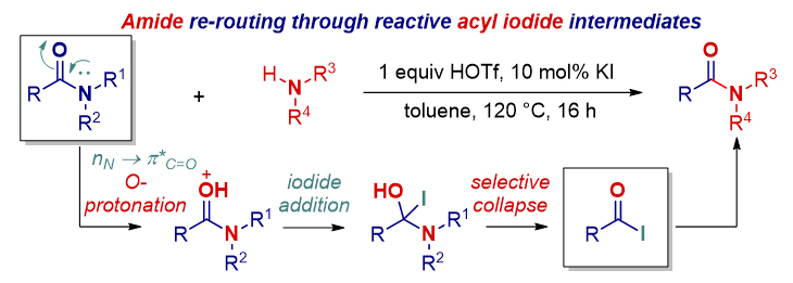 Sword and sword combined: acid iodine synergistically catalyzes the ...