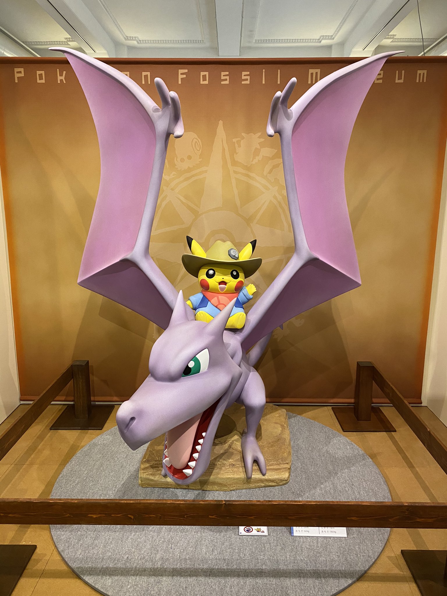 Fossil-loving archaeologists in search of ancient Pokémon heritage ...