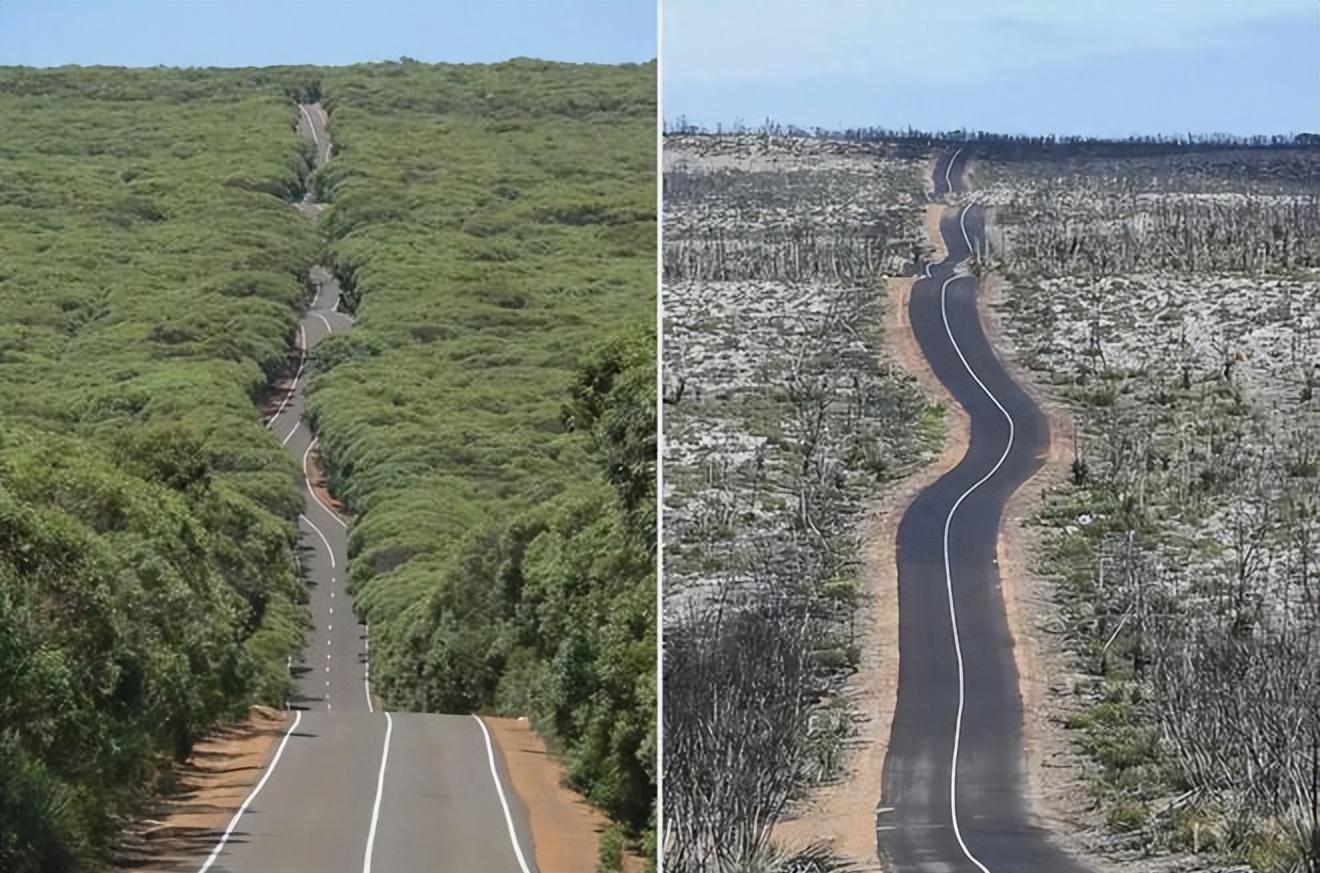 18 photos comparing the past and present of the earth. How long can ...