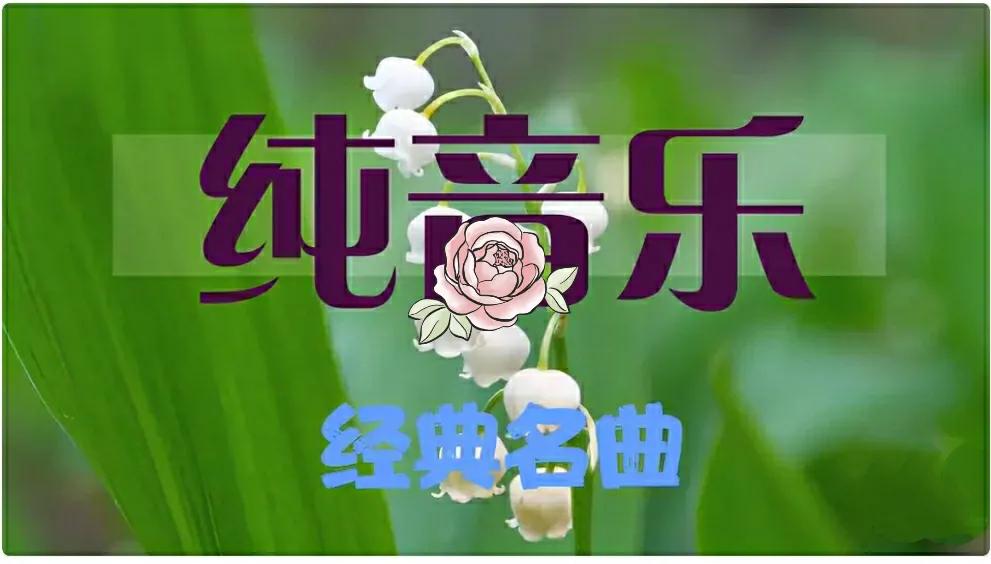 "Meiyin-09" Guzheng song "Qingyin Bodhi" is elegant and quiet, soothing ...