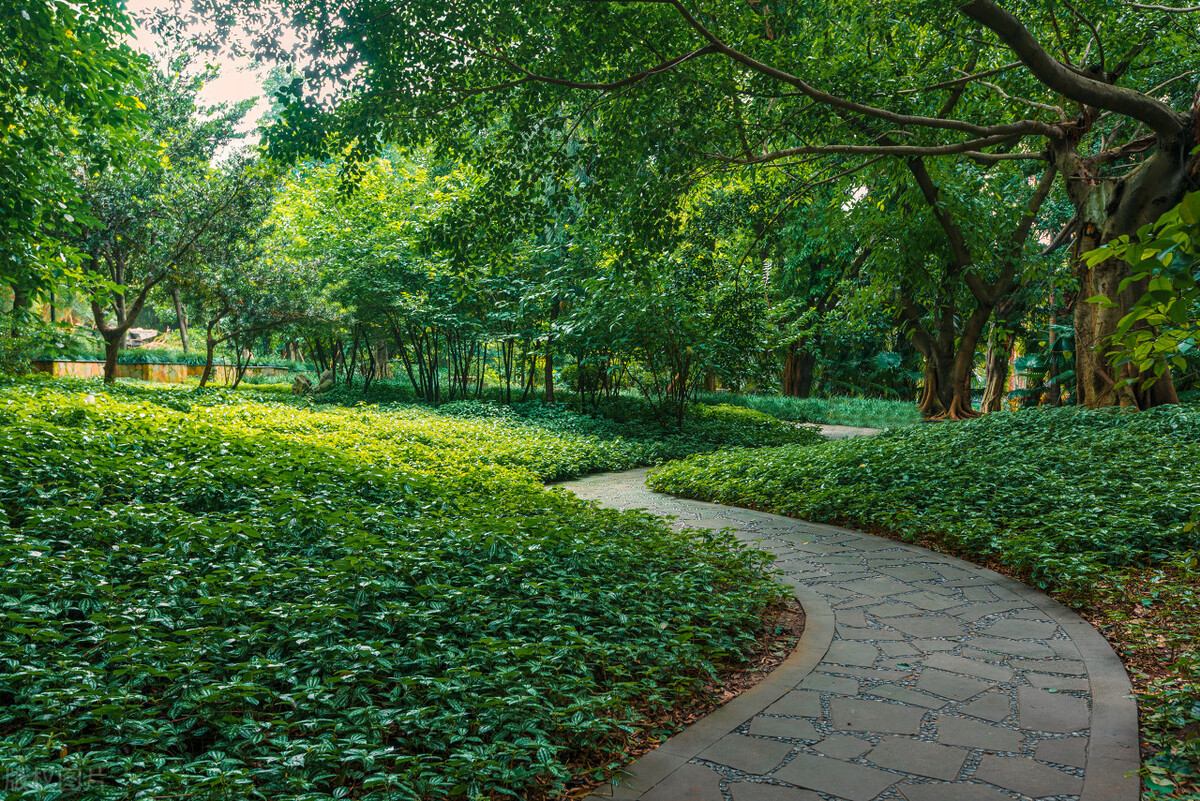 On a romantic spring day, let's go for an outing! 8 beautiful parks in ...