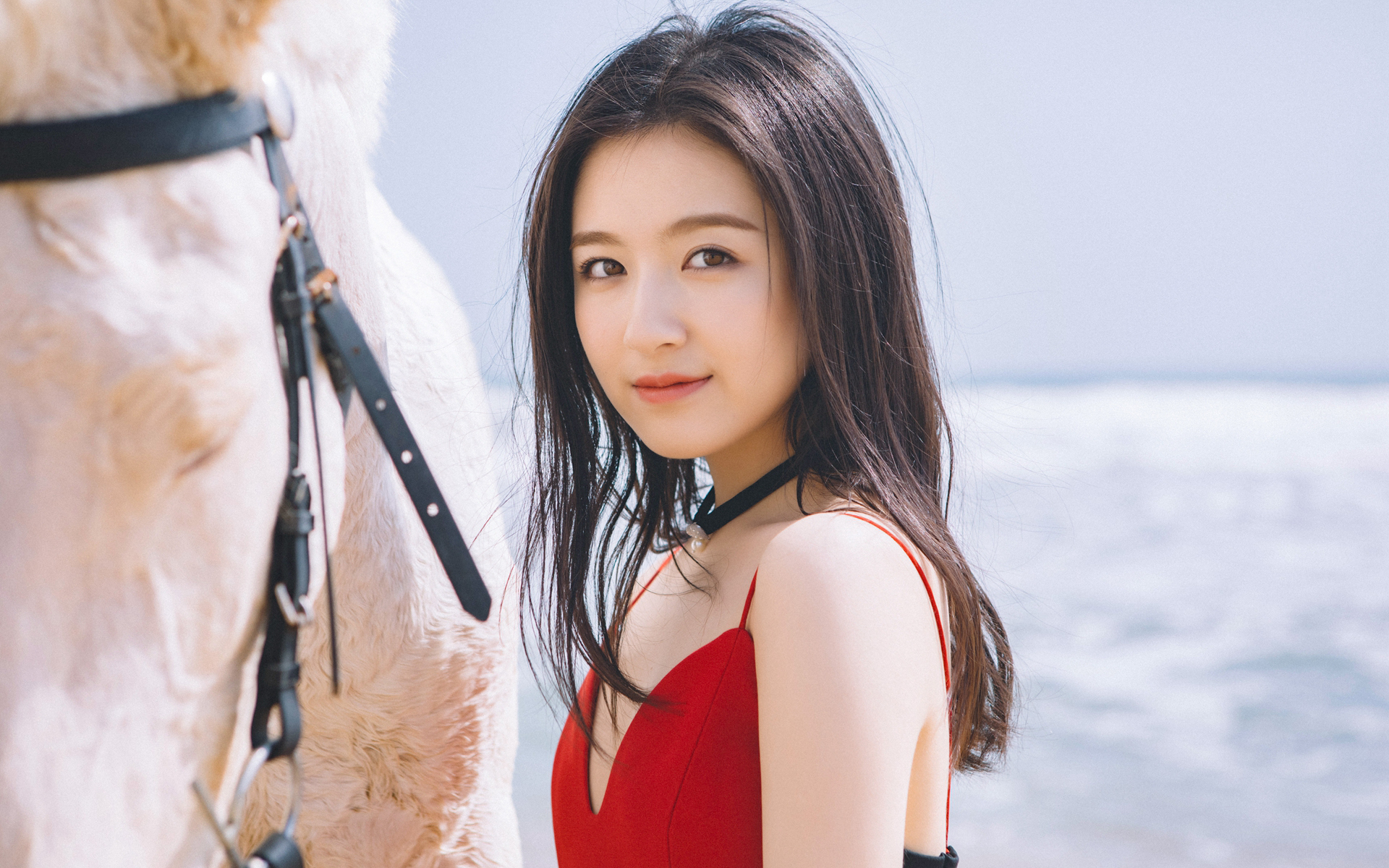 Entertainment Comments: Liu Yifei, Yi Yangqianxi, Yang Zi, Li Landi ...