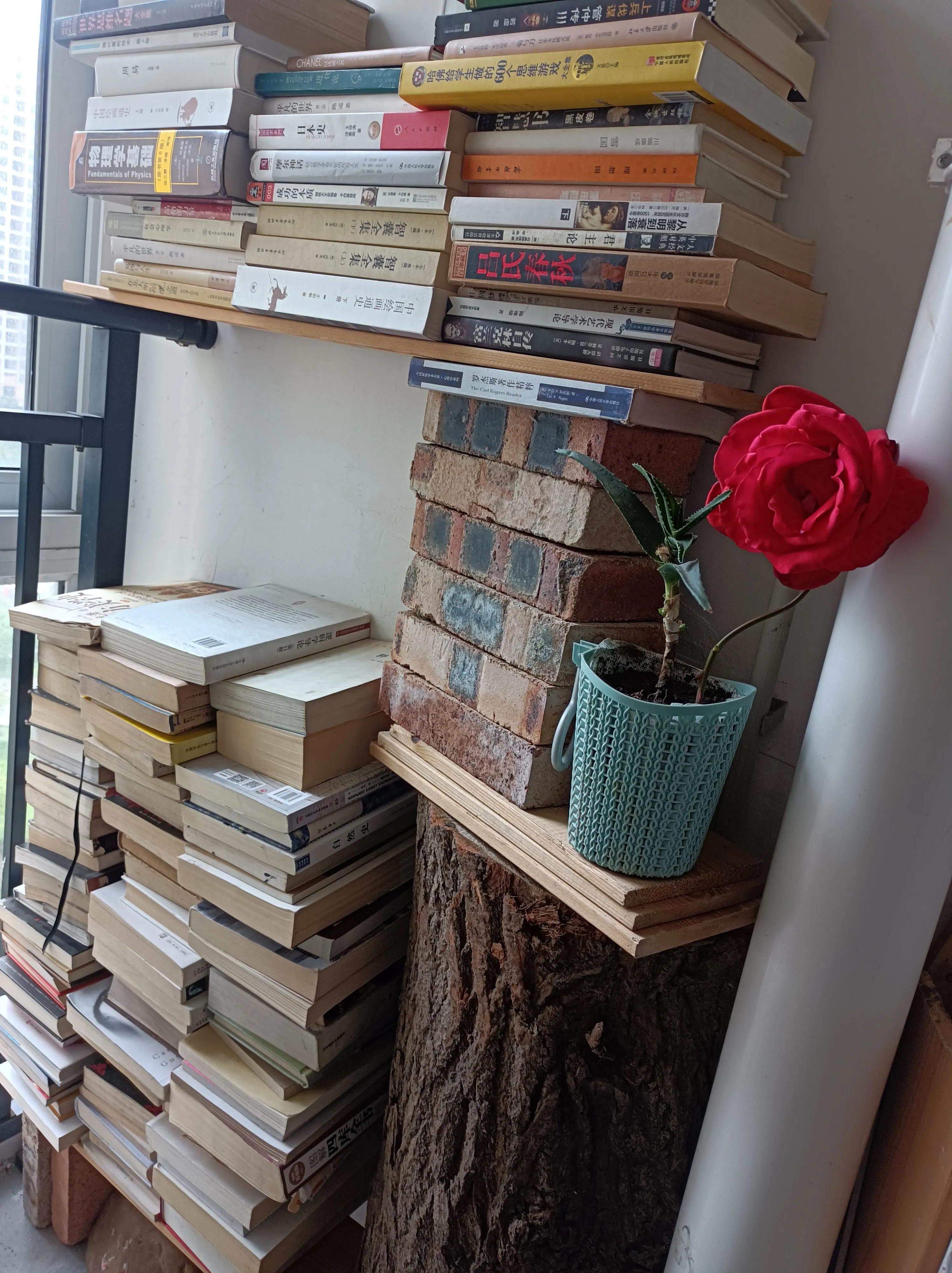 Small fun in rainy days, sawing a piece of wood, making a bookcase. - iNEWS