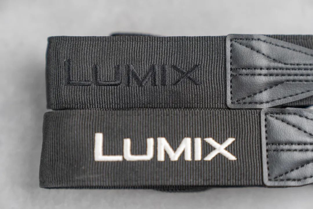 A video-enhanced version of the S5M2? Panasonic Lumix S5M2X for the ...