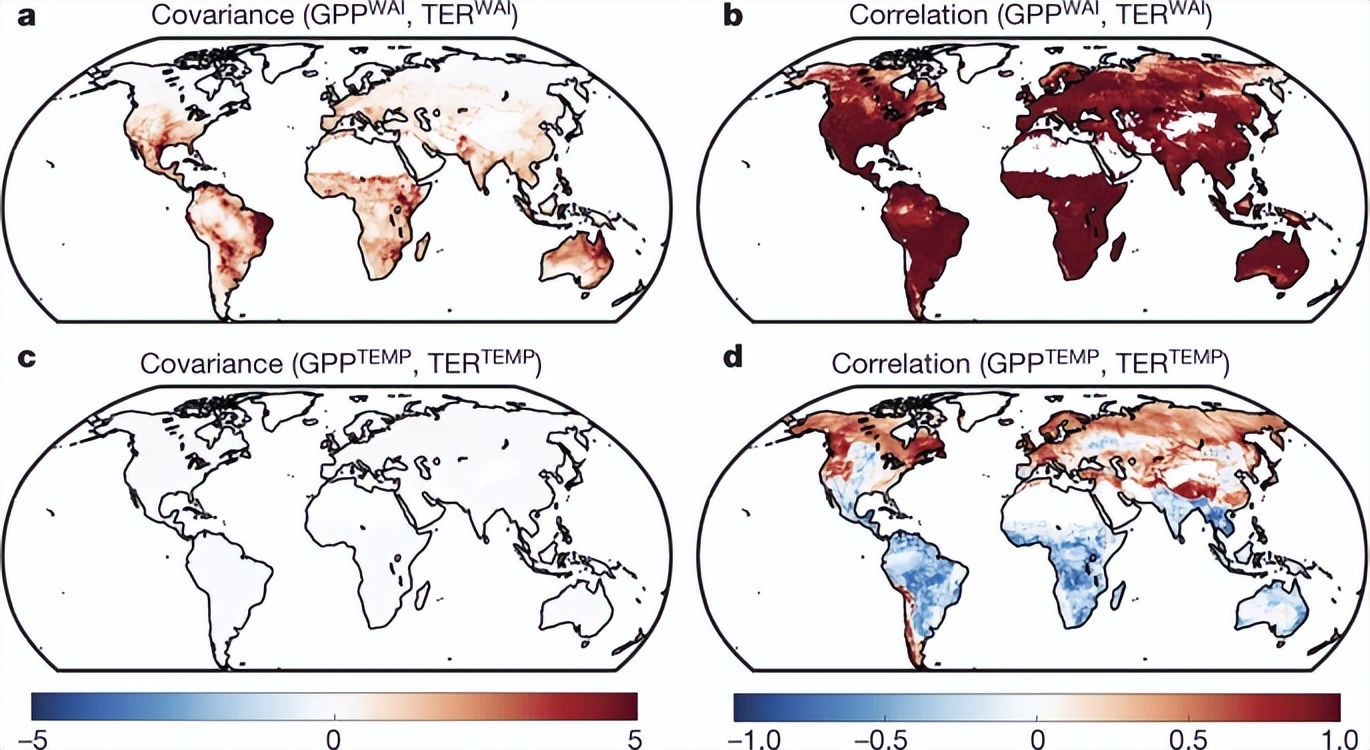 Compensating effects of moisture link interannual variability in global ...